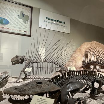 TEXAS SCIENCE & NATURAL HISTORY MUSEUM - Updated October 2025 - 174 ...