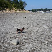 STODDER’S NECK | 93 Photos & 73 Reviews - Lincoln St, Hingham ...