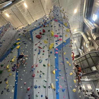 MOVEMENT PLANO - Updated January 2026 - 93 Photos & 54 Reviews - 525 ...