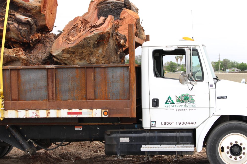NCE TREE SERVICES - Updated July 2025 - 38 Photos & 12 Reviews - 625 E ...