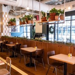 LITTLE REY - Updated June 2025 - 61 Photos & 36 Reviews - 1101 E ...