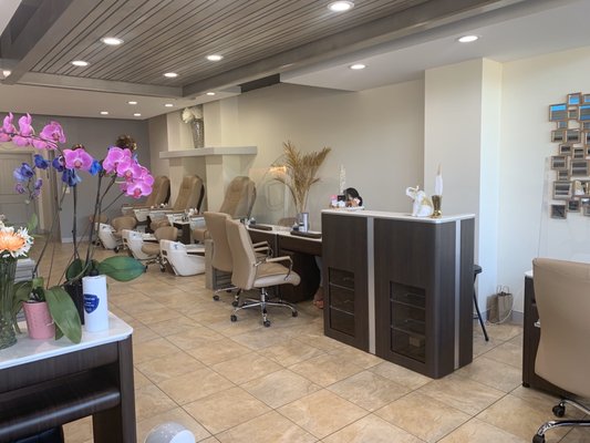 BLOSSOM NAIL SALON - Updated July 2024 - 12 Photos & 37 Reviews - 729 ...