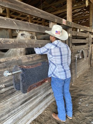 DIAMOND D RANCH - Updated January 2025 - 57 Photos & 20 Reviews - 5903 ...