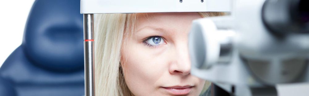 GREG K COOK - Updated December 2025 - 10 Photos - 785 Wonderland Road ...