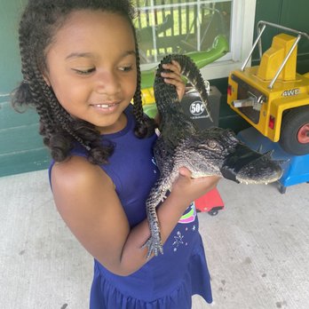 GATORS & FRIENDS - Updated August 2025 - 207 Photos & 58 Reviews ...