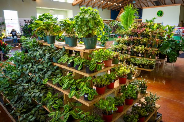 MICKMAN BROTHERS - Updated July 2025 - 59 Photos & 24 Reviews - 14630 ...