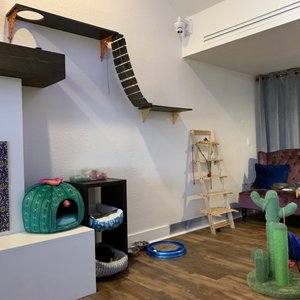 GOLF N’ STUFF - 163 Photos & 118 Reviews - Mini Golf - 6503 E Tanque ...