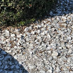 TOOT’S RESTAURANT - Updated March 2025 - 139 Photos & 234 Reviews - 860 ...