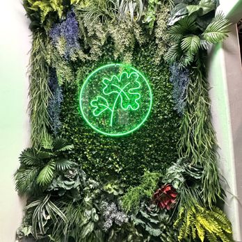 CILANTRO LATIN FUSION - Updated September 2024 - 201 Photos & 85 ...