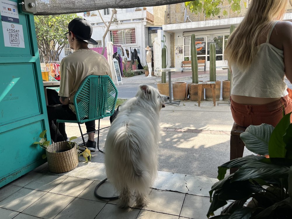 CAFÉ CORRECTO - Updated August 2025 - Calle Prisciliano Sánchez 1030 ...