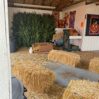 PICHA FARMS - Updated June 2025 - 68 Photos & 36 Reviews - 6502 52nd St ...