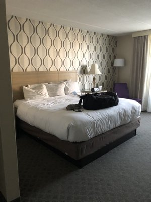 RADISSON HOTEL DULUTH-HARBORVIEW - 141 Photos & 142 Reviews - 505 W ...