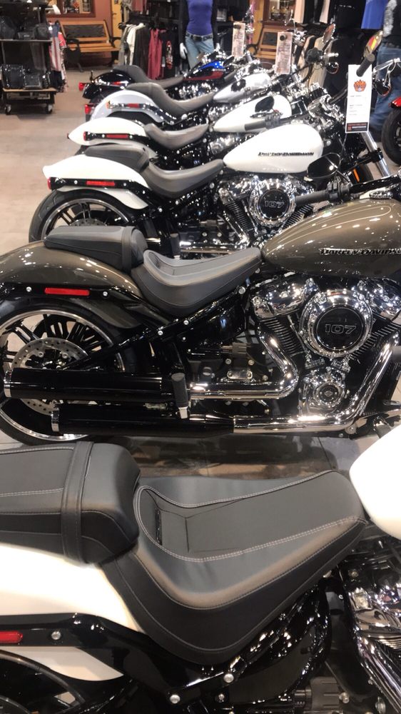 CALIENTE HARLEY-DAVIDSON - Updated May 2024 - 120 Photos & 51 Reviews ...