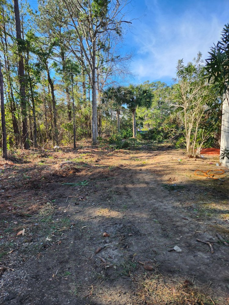 EXTREME TREE SERVICE - Updated January 2026 - 11 Photos - 55 Smith Blvd ...