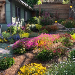 SARAH HERMAN LANDSCAPE DESIGN - 27 Photos - Berkeley, California ...