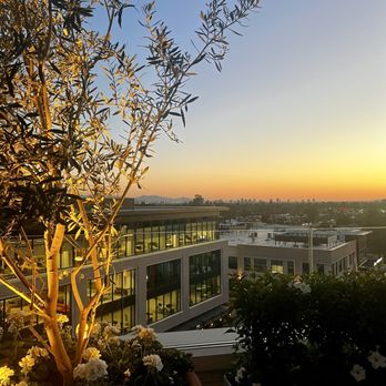 THÉA - Updated June 2024 - 239 Photos & 129 Reviews - 4360 E Camelback ...