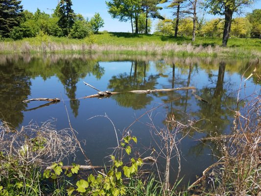 NORMANDALE LAKE PARK - 179 Photos & 12 Reviews - 84TH Street And Chalet ...