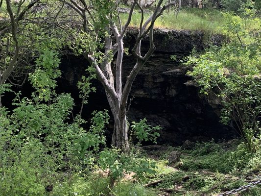 STONE OAK PARK - 116 Photos & 37 Reviews - 20395 Stone Oak Pkwy, San ...