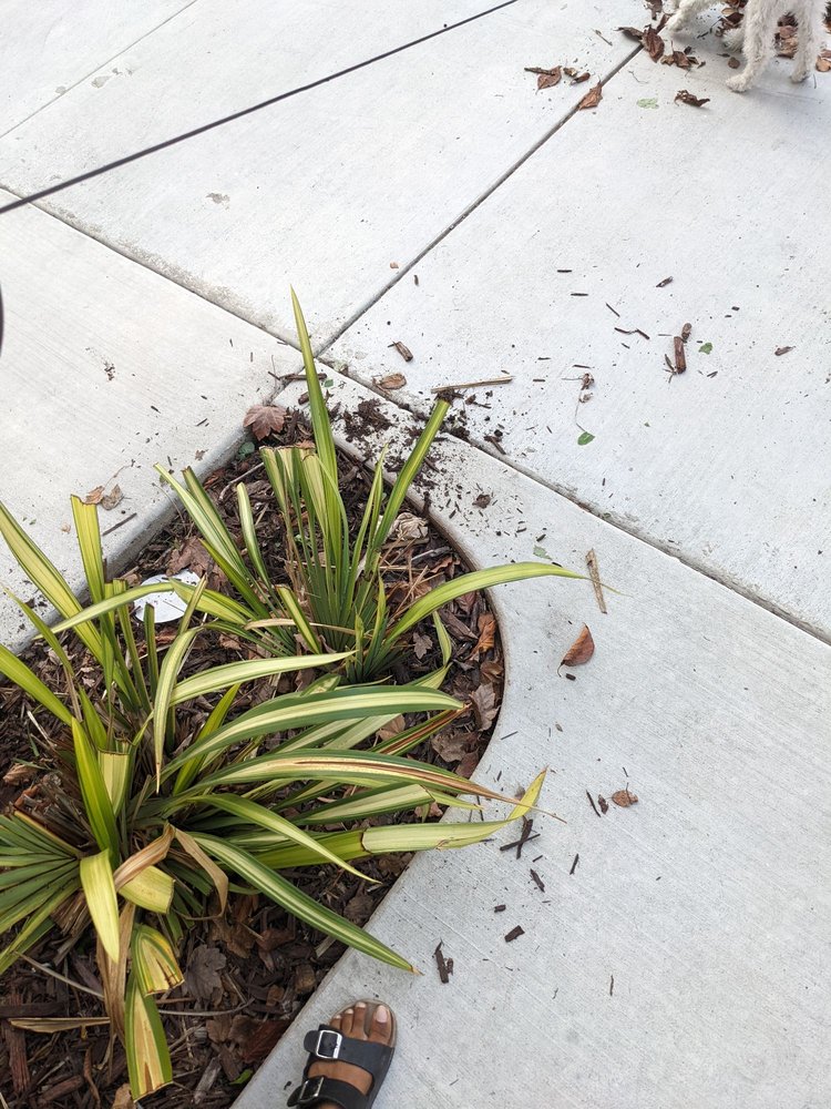 TERRACARE ASSOCIATES - 1194 Ames Ave, Milpitas, California ...