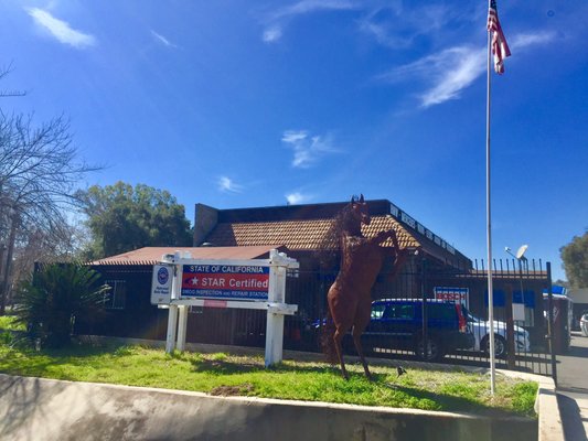 EUROPEAN AUTOMOTIVE CENTER - Updated December 2025 - 19 Photos & 110 ...