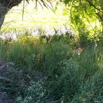 MERCED NATIONAL WILDLIFE REFUGE - Updated December 2024 - 115 Photos ...