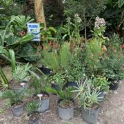 JESSE DURKO’S NURSERY - 96 Photos & 34 Reviews - 5151 SW 70th Ave ...