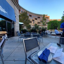 801 FISH - Updated October 2025 - 731 Photos & 260 Reviews - 172 ...