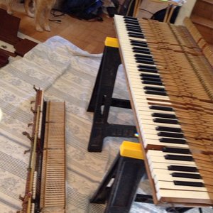JON DELONG-PIANO TUNING & REPAIR - Updated January 2025 - Moss Beach ...