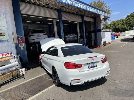 KING HARBOR AUTO REPAIR INC - Updated October 2025 - 720 Photos & 119 ...