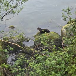 GROUNDLING PIZZA - Updated October 2025 - 105 Photos & 78 Reviews ...