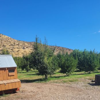 BLOOM RANCH OF ACTON - Updated March 2025 - 101 Photos & 38 Reviews ...