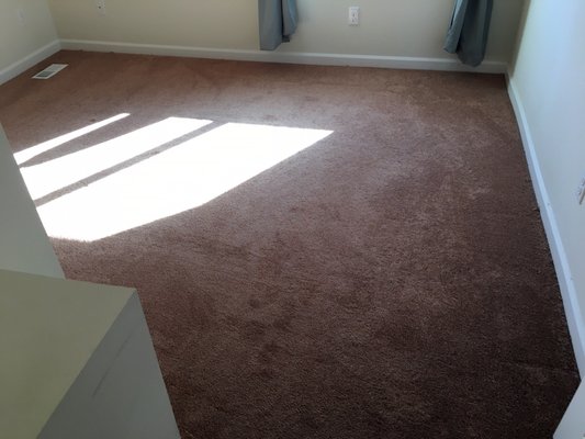 CARPET KING - Updated January 2026 - 48 Photos & 73 Reviews - 612 6th ...