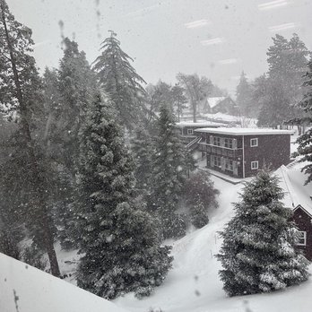 PALI INSTITUTE - Updated September 2025 - 241 Photos & 366 Reviews ...