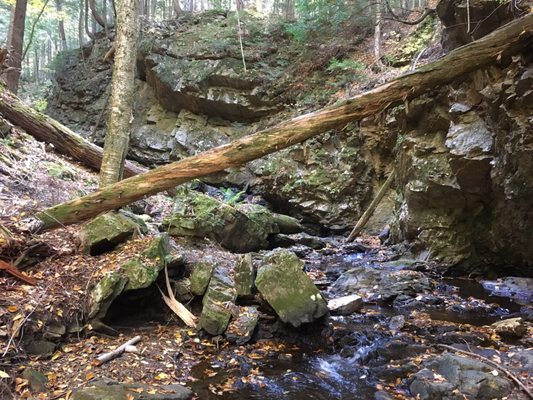 CHESTERFIELD GORGE - Updated December 2024 - 1807 Franklin Pierce Hwy ...