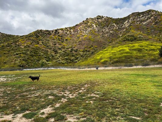 RANCHO SIMI RECREATION & PARK DISTRICT - Updated October 2025 - 121 ...