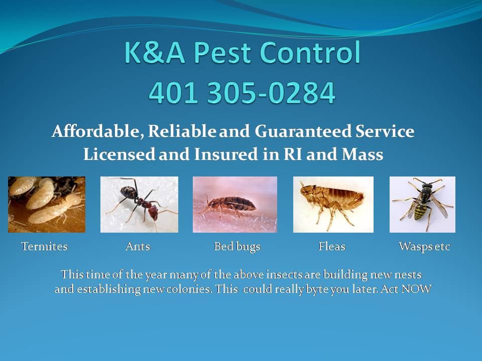 K&A PEST CONTROL - Updated December 2025 - 10 Reviews - Cumberland ...