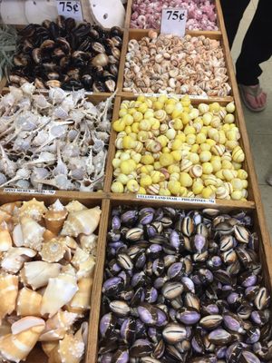 THE SHELL SHOP - 156 Photos & 111 Reviews - Arts & Crafts - 590 ...