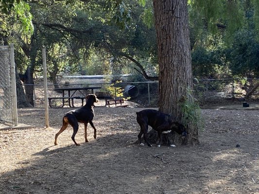 CAMARILLO GROVE PARK - Updated October 2025 - 97 Photos & 20 Reviews ...