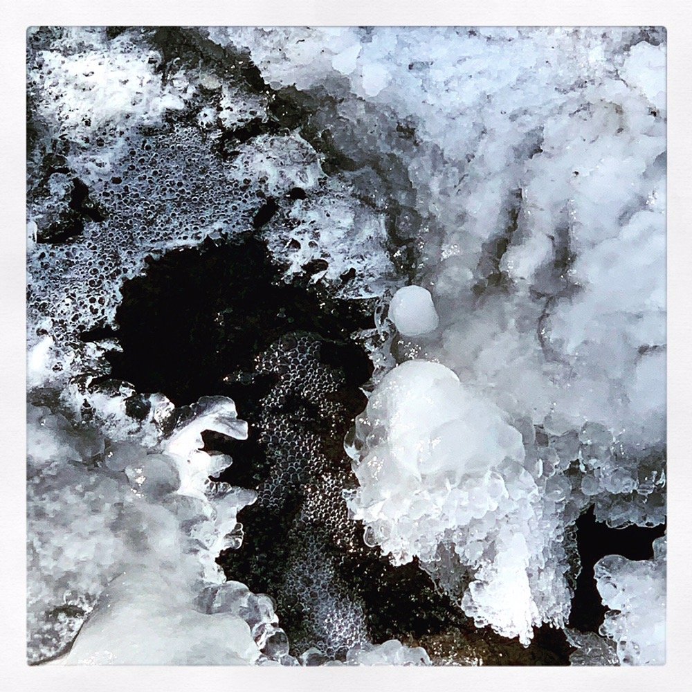 GRAHAM PARK - Updated February 2025 - 61 Photos & 11 Reviews - 260 ...