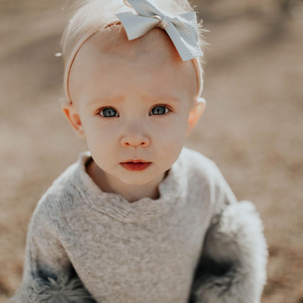 Jennifer Gauer's Instagram, Twitter & Facebook on IDCrawl