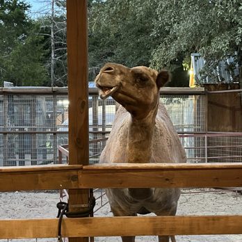 OAK MEADOW RANCH FEATURING THE WHITEHORSE STEAKHOUSE - Updated January ...