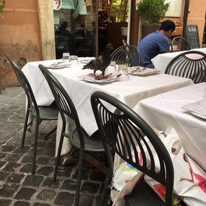 BAR SAN CALISTO - Updated April 2025 - 47 Photos & 68 Reviews - Piazza ...