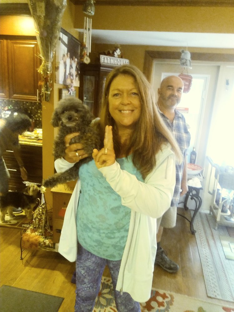 AUNTIE LISA’S GROOM & ROOM - Updated February 2025 - 24 Photos - Baxley ...