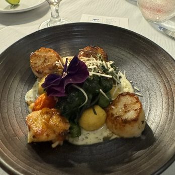 SURFING DEER - Updated January 2025 - 456 Photos & 344 Reviews - 2743 E ...