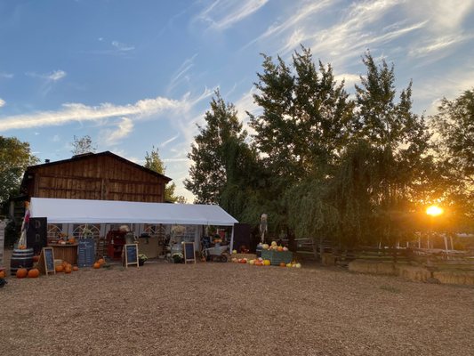 DD RANCH - Updated December 2025 - 10 Photos - 3836 NE Smith Rock Way ...