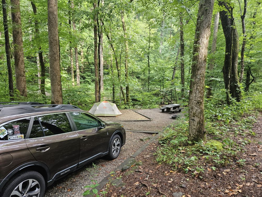 ANDREW’S COVE CAMPGROUND - Updated December 2025 - 41 Photos - Unicoi ...