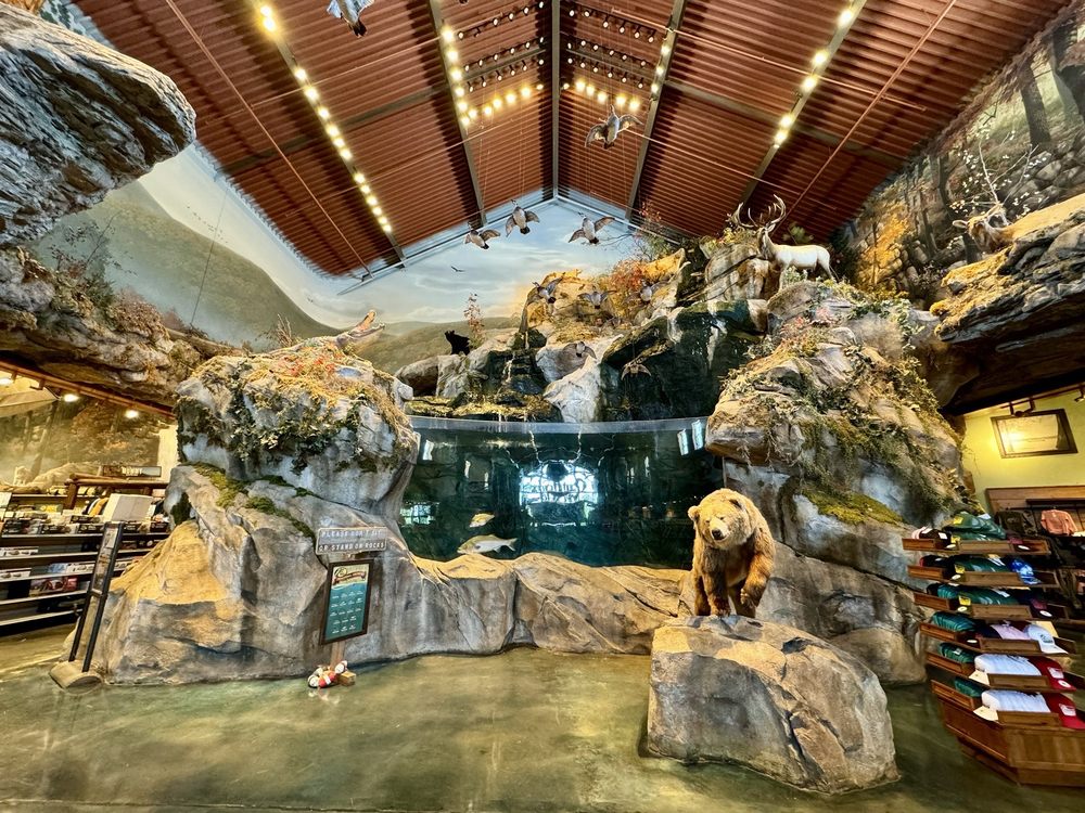 BASS PRO SHOP - Updated December 2025 - 15 Photos & 19 Reviews - 1 Bass ...