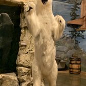 BASS PRO SHOP - Updated October 2025 - 45 Reviews & 61 Photos - 3046 ...