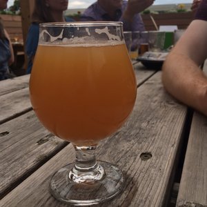 INSIGHT BREWING - 181 Photos & 131 Reviews - Breweries - 2821 E ...