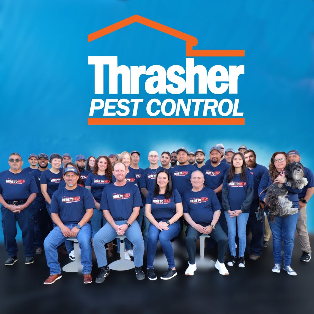 THRASHER TERMITE & PEST CONTROL OF SO CAL - Updated June 2025 - 125 ...
